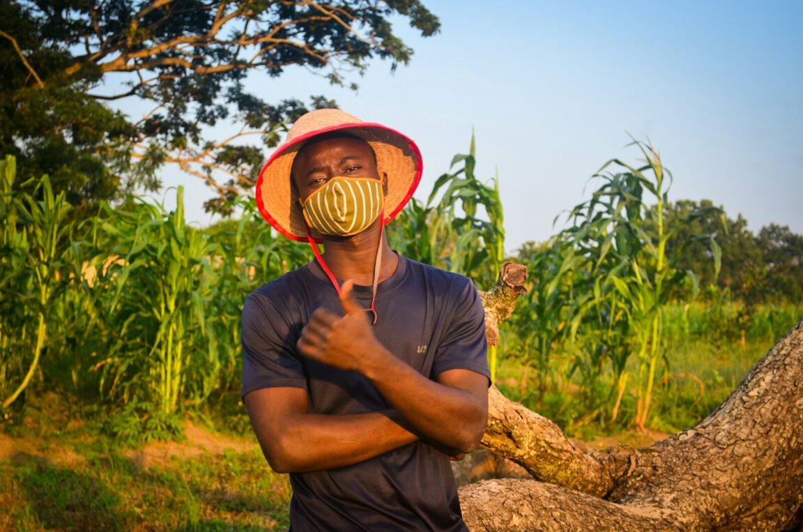 How To Access The Central Bank Of Nigeria’s Agricultural Loan Scheme ...